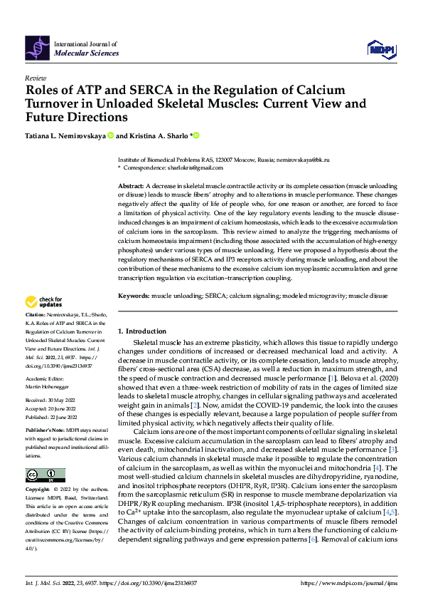 (PDF) Roles of ATP and SERCA in the Regulation of Calcium Turnover in ...