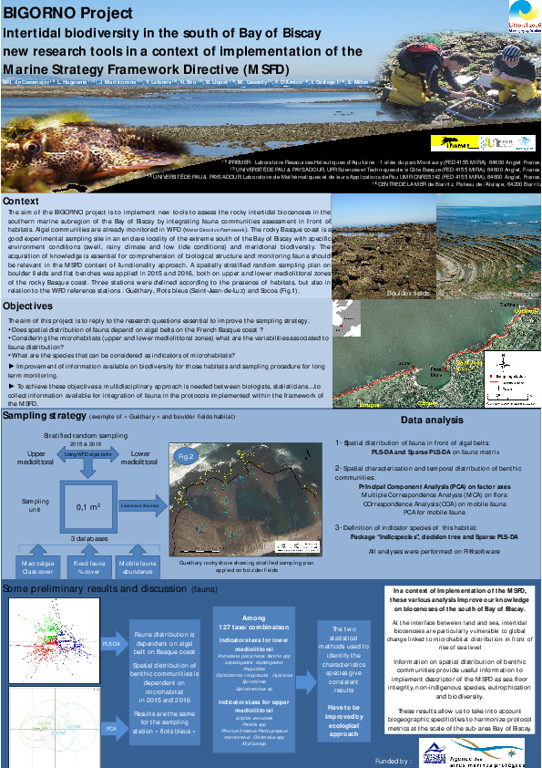 (PDF) BIGORNO Project. Intertidal biodiversity in the south of Bay of ...