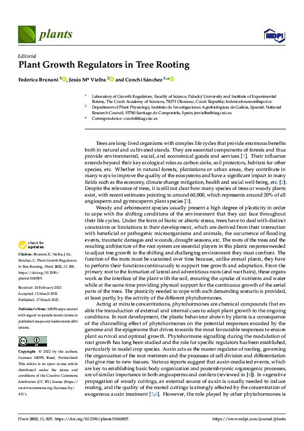 (PDF) Plant Growth Regulators in Tree Rooting