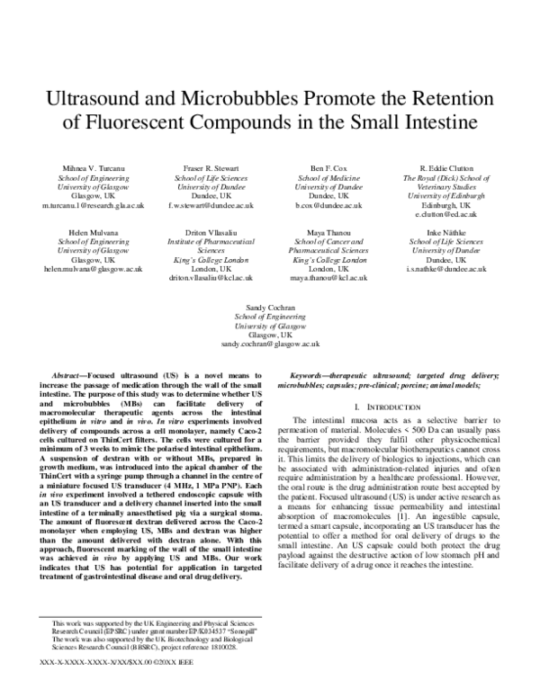 (PDF) Ultrasound and Microbubbles Promote the Retention of Fluorescent ...