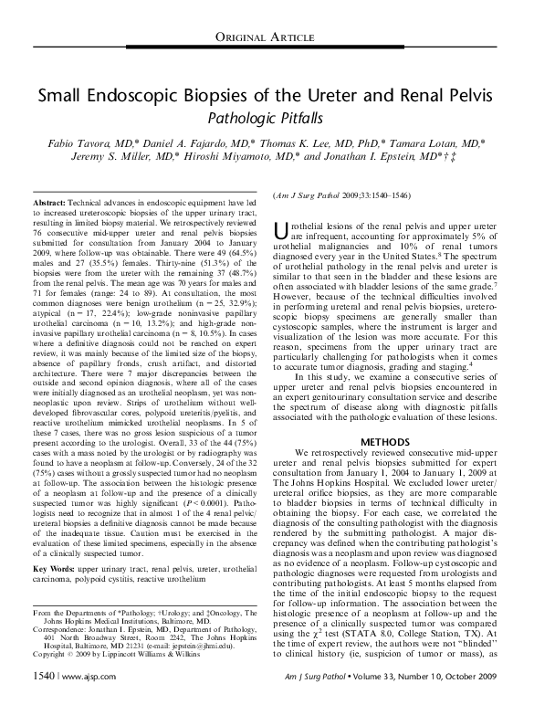 Pdf Small Endoscopic Biopsies Of The Ureter And Renal Pelvis