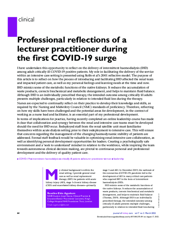 (PDF) Professional reflections of a lecturer practitioner during the ...