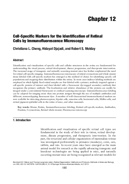 (PDF) Cell-Specific Markers for the Identification of Retinal Cells by ...
