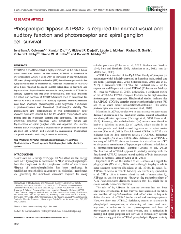 (PDF) Phospholipid flippase ATP8A2 is required for normal visual and ...