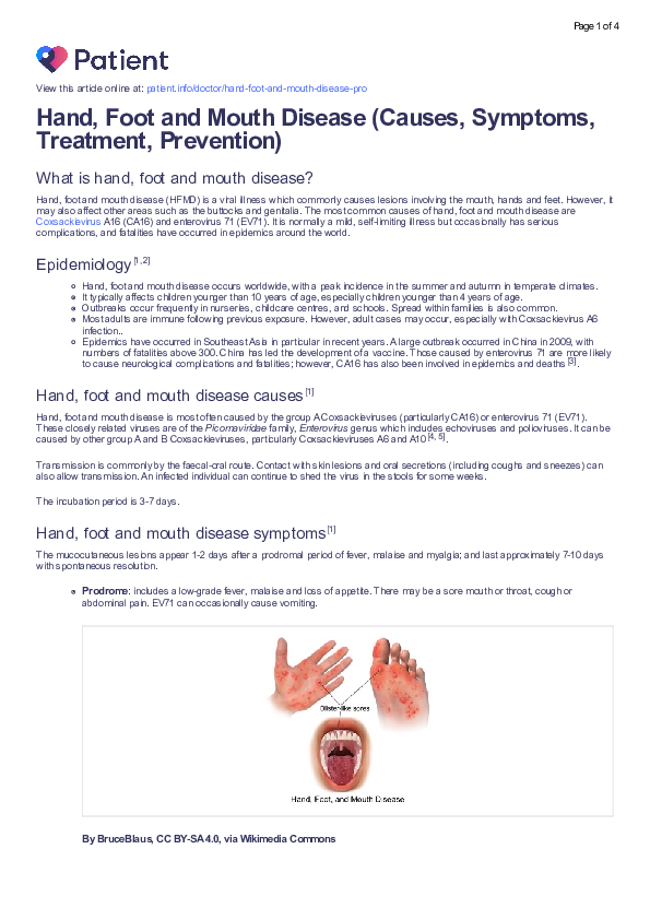 (PDF) Hand, foot and mouth disease