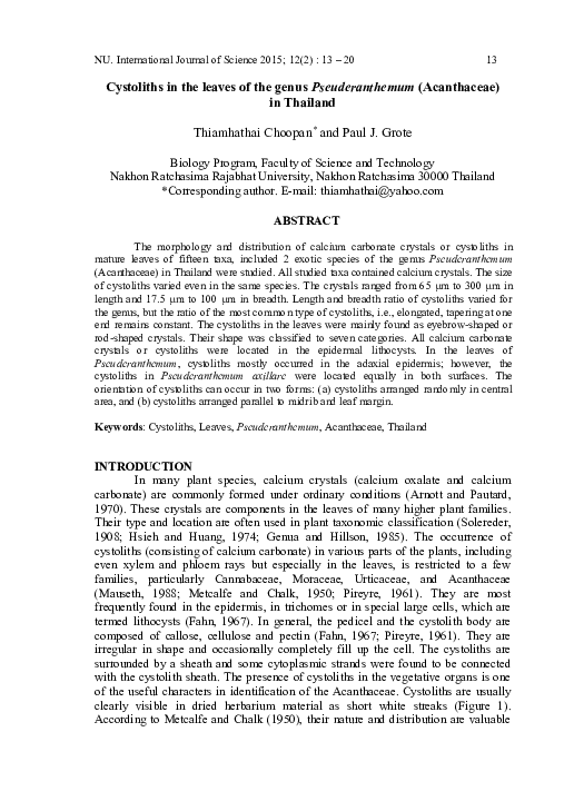 (PDF) Cystoliths in the leaves of the genus Pseuderanthemum ...