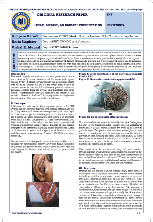 (PDF) Aural Myiasis, an Unusual Presentation