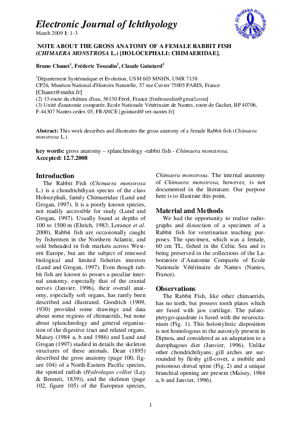 (PDF) Note About the Gross Anatomy of a Female Rabbit Fish (Chimaera ...