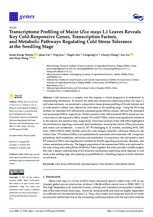 Pdf Transcriptome Profiling Of Maize Zea Mays L Leaves Reveals Key