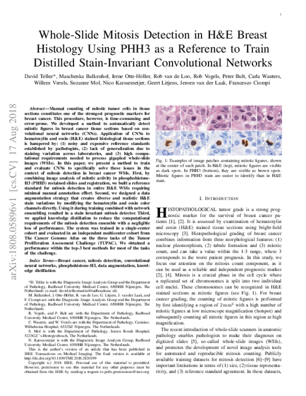 Pdf Whole Slide Mitosis Detection In Hande Breast Histology Using Phh3