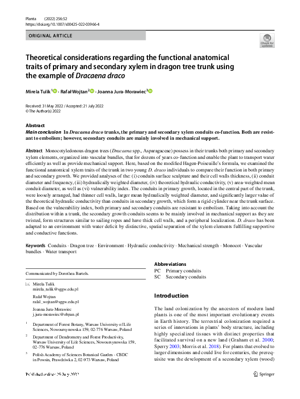 (PDF) Xylem Functional Anatomy in Dracaena draco Trunks