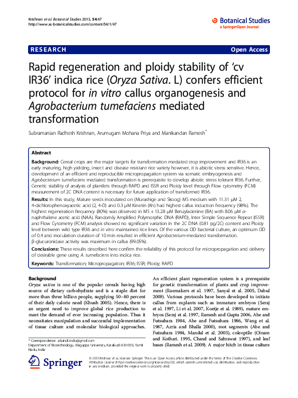 (PDF) Rapid regeneration and ploidy stability of ‘cv IR36’ indica rice ...