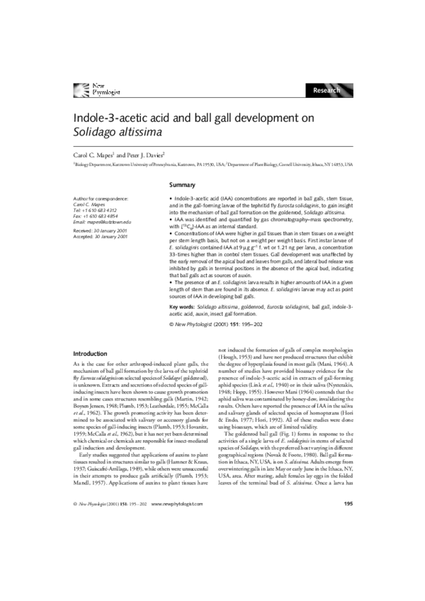 (PDF) Indole‐3‐acetic acid and ball gall development on Solidago altissima