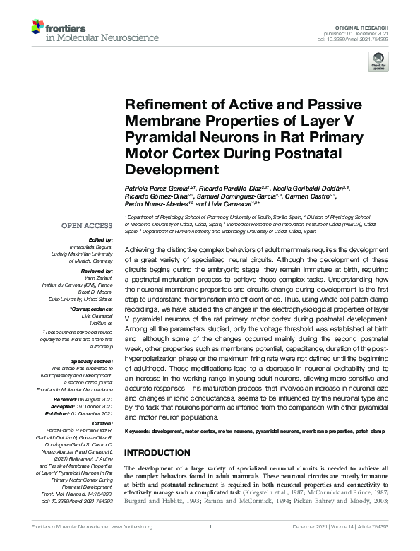Pdf Refinement Of Active And Passive Membrane Properties Of Layer V Pyramidal Neurons In Rat