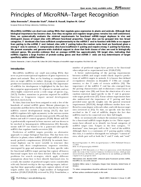(PDF) Principles of MicroRNA–Target Recognition | oscar miranda ...