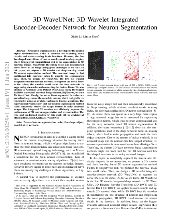 Pdf 3d Waveunet 3d Wavelet Integrated Encoder Decoder Network For Neuron Segmentation