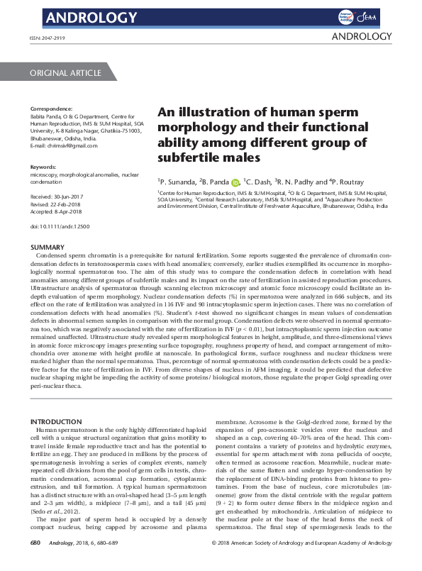 (PDF) An illustration of human sperm morphology and their functional ...