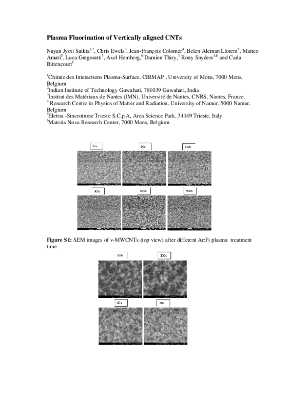 (PDF) Plasma Fluorination of Vertically Aligned Carbon Nanotubes