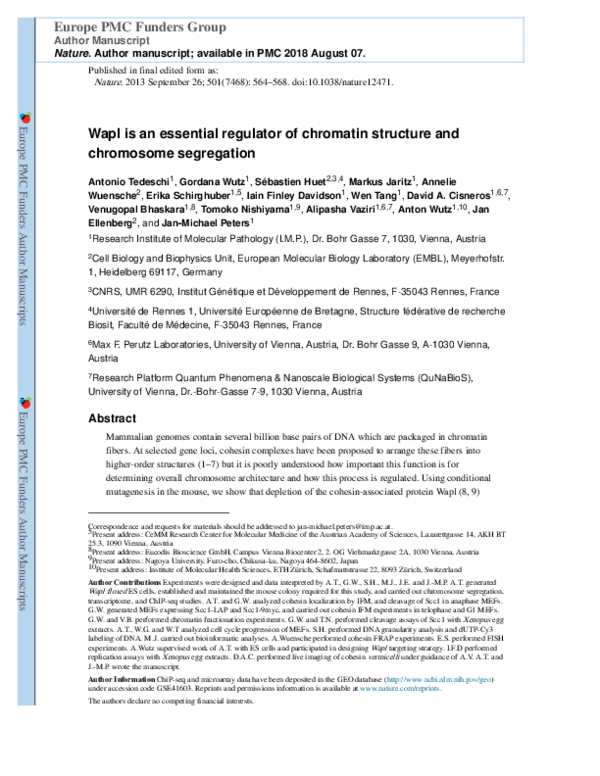 (PDF) Wapl is an essential regulator of chromatin structure and ...