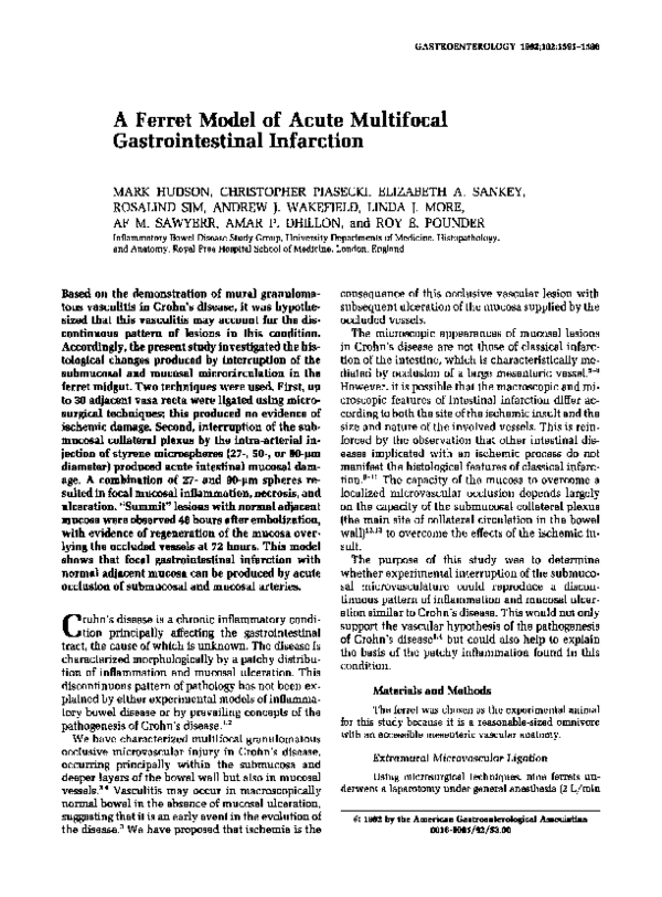 (PDF) A ferret model of acute multifocal gastrointestinal infarction