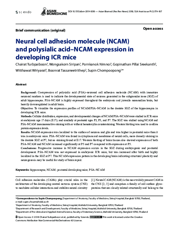 (PDF) Roles of Polysialic Acid-Neural Cell Adhesion Molecule (PSA-NCAM) in Synaptic Plasticity ...