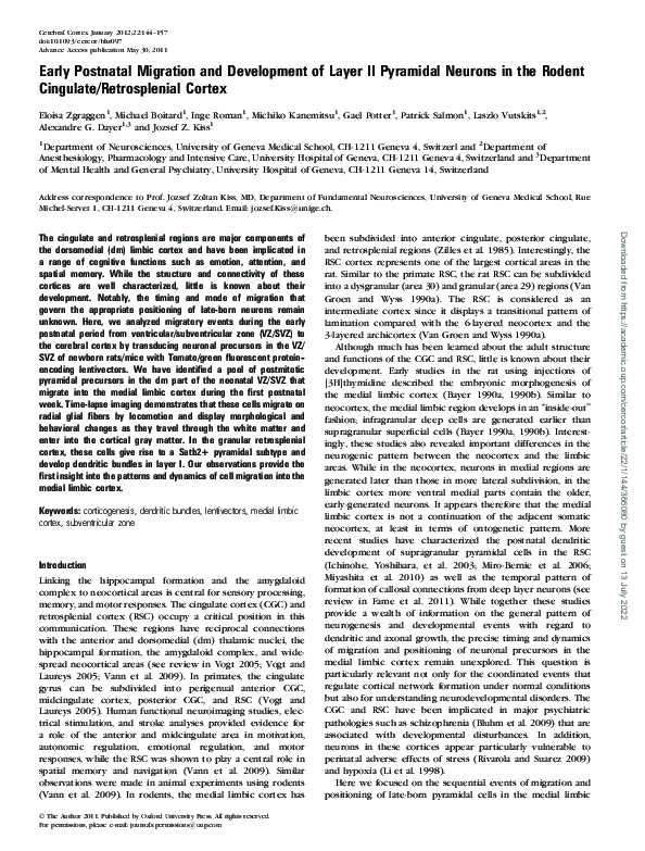(PDF) Early Postnatal Migration and Development of Layer II Pyramidal Neurons in the Rodent ...