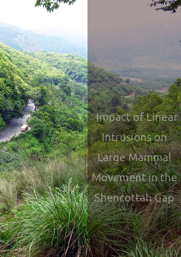 (PDF) Impact of Linear Intrusions on Large Mammal Movement in the ...