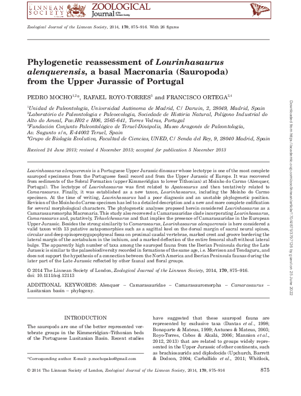 (PDF) Phylogenetic reassessment ofLourinhasaurus alenquerensis, a basal ...