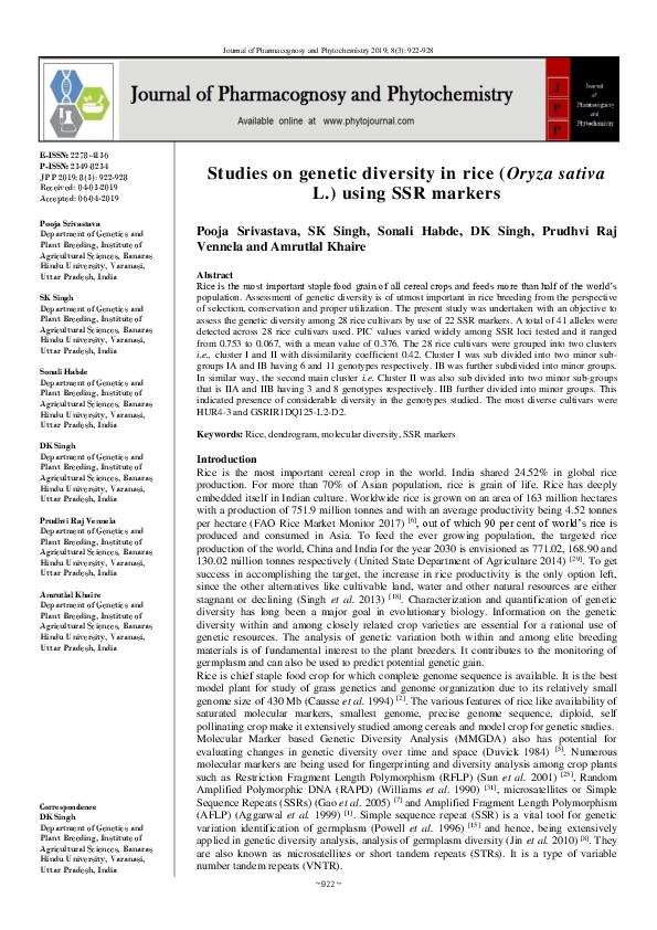(PDF) Studies on genetic diversity in rice (Oryza sativa L.) using SSR markers