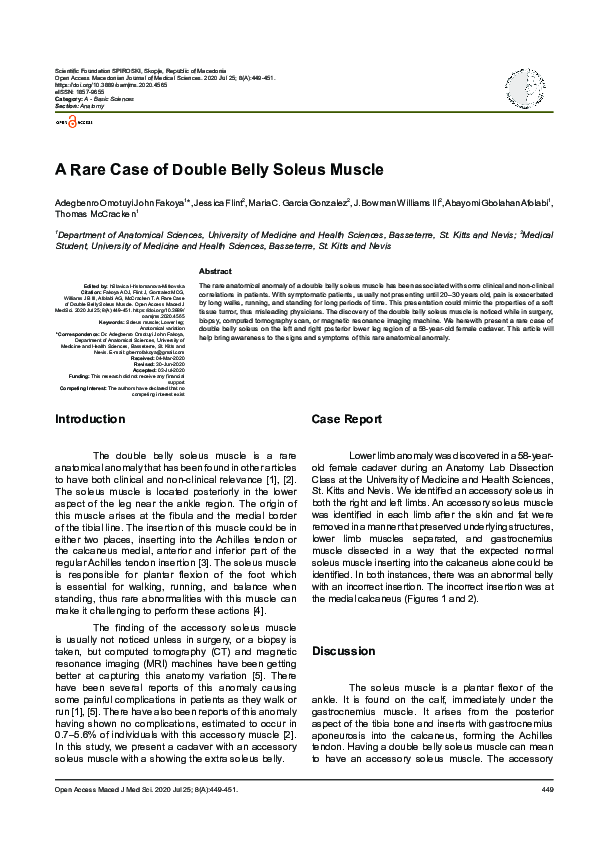(PDF) A Rare Case of Double Belly Soleus Muscle