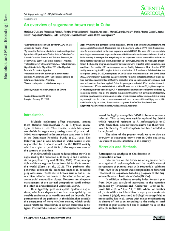(PDF) An overview of sugarcane brown rust in Cuba