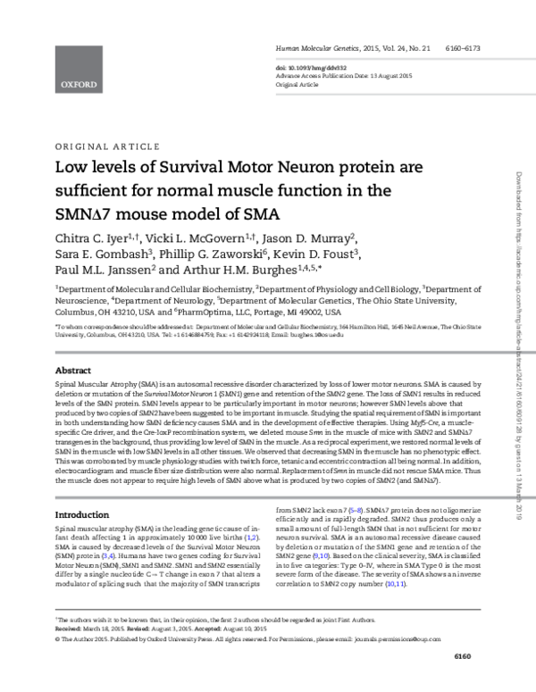 (PDF) Low SMN Protein Suffices for Muscle Function in SMA