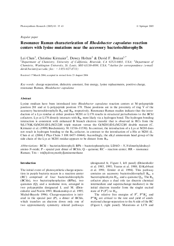 (PDF) Resonance Raman characterization of Rhodobacter capsulatus ...