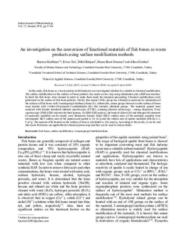 (PDF) An investigation on the conversion of functional materials of ...