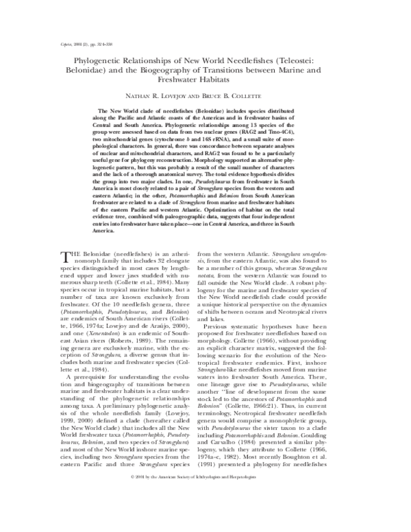 Phylogenetic Relationships of New World Needlefishes (Teleostei ...