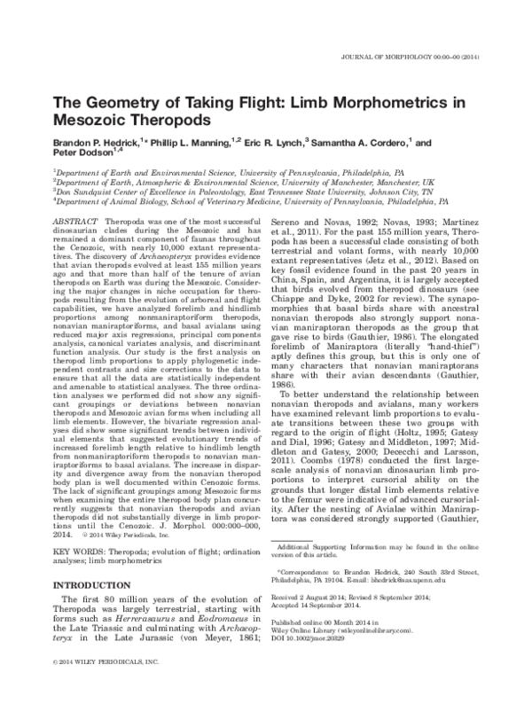 (PDF) The geometry of taking flight: Limb morphometrics in Mesozoic ...