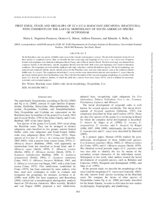 (PDF) First Zoeal Stage and Megalopa of Uca (Uca) Maracoani (Decapoda ...