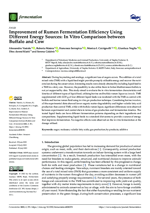(PDF) Improvement of Rumen Fermentation Efficiency Using Different ...