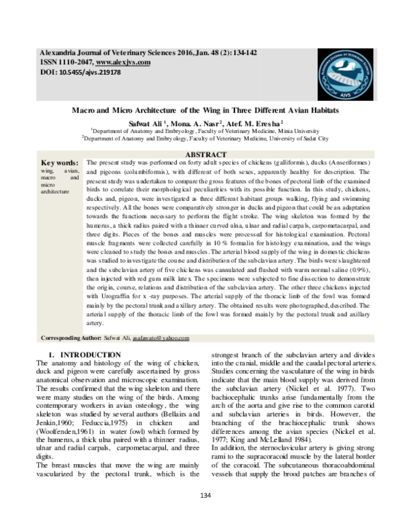 (PDF) Macro and Micro Architecture of the Wing in Three Different Avian Habitats | Safwat Ali ...