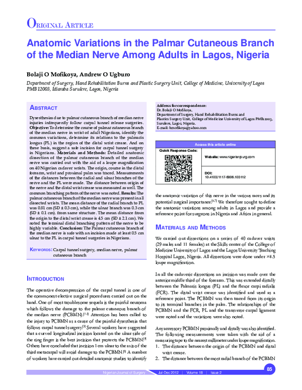 (PDF) Anatomic variations in the palmar cutaneous branch of the median ...