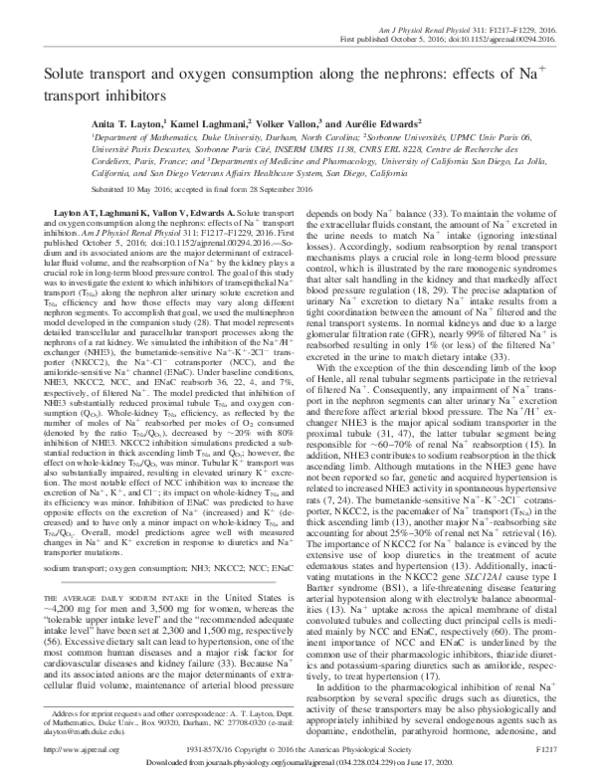 (PDF) Solute transport and oxygen consumption along the nephrons ...