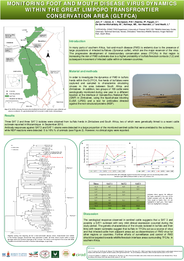 (PDF) Monitoring foot and mouth disease virus dynamics within the great ...