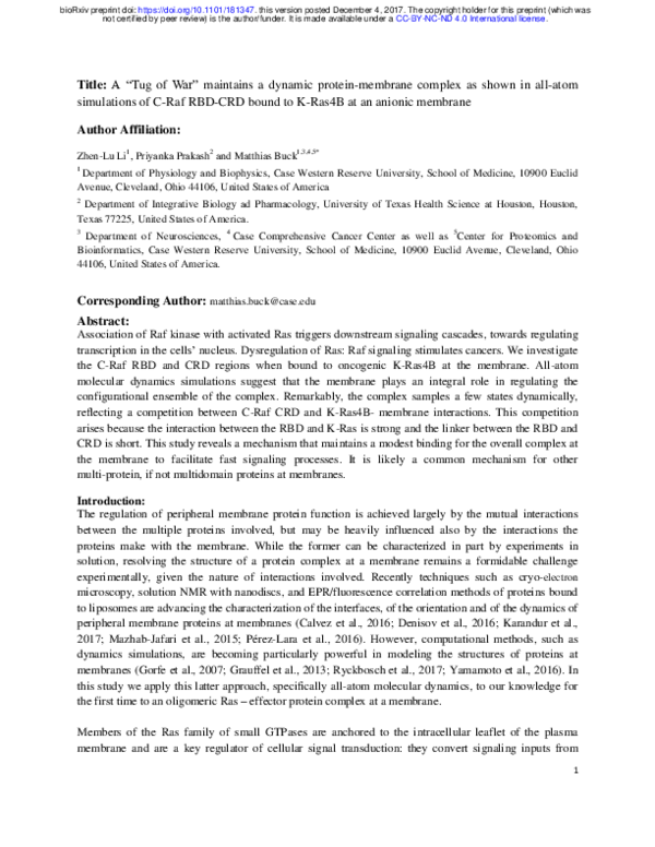 (PDF) A “Tug of War” maintains a dynamic protein-membrane complex as ...