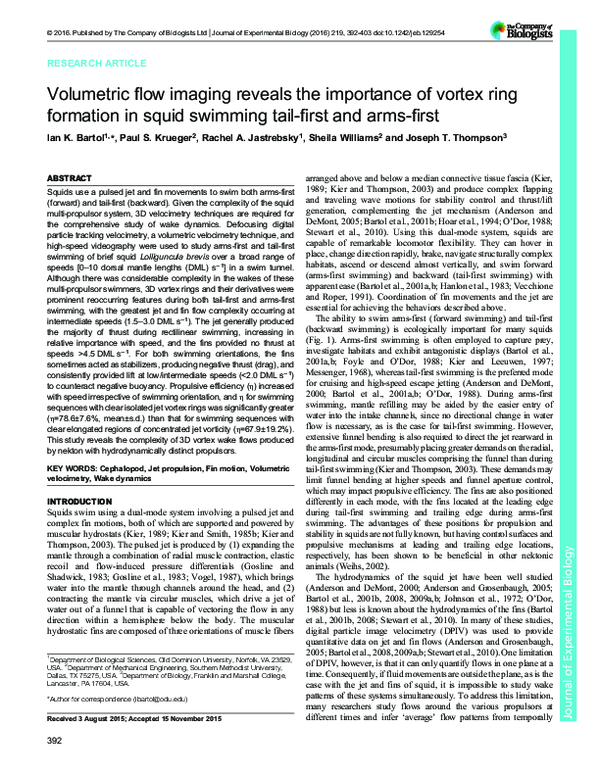(PDF) Volumetric flow imaging reveals the importance of vortex ring ...