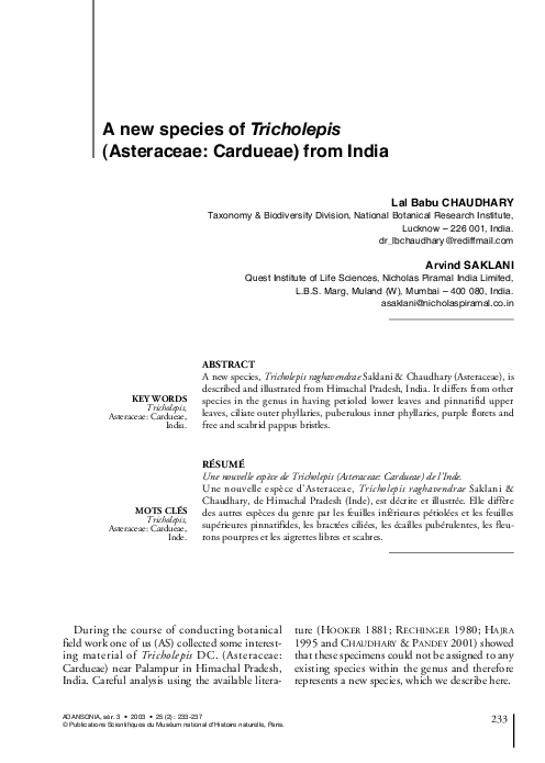 (PDF) A new species of Tricholepis (Asteraceae: Cardueae) from India