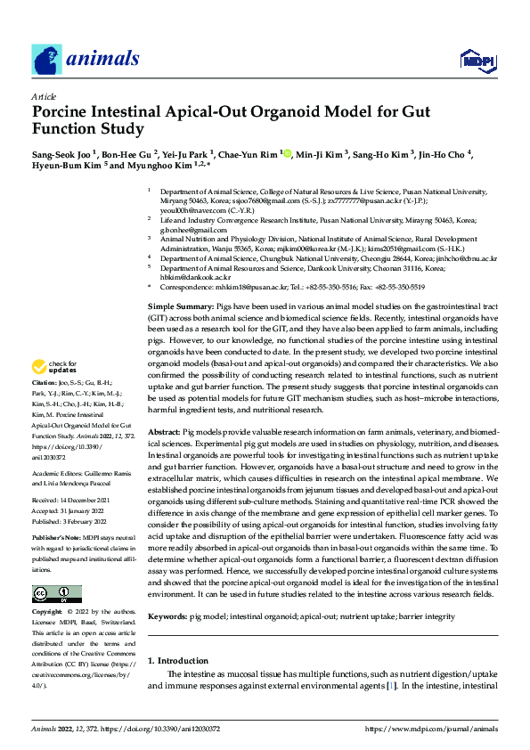 (PDF) Porcine Intestinal Apical-Out Organoid Model for Gut Function Study