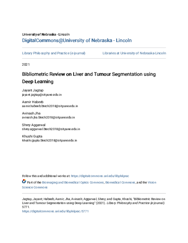 (PDF) Bibliometric Review on Liver and Tumour Segmentation using Deep Learning