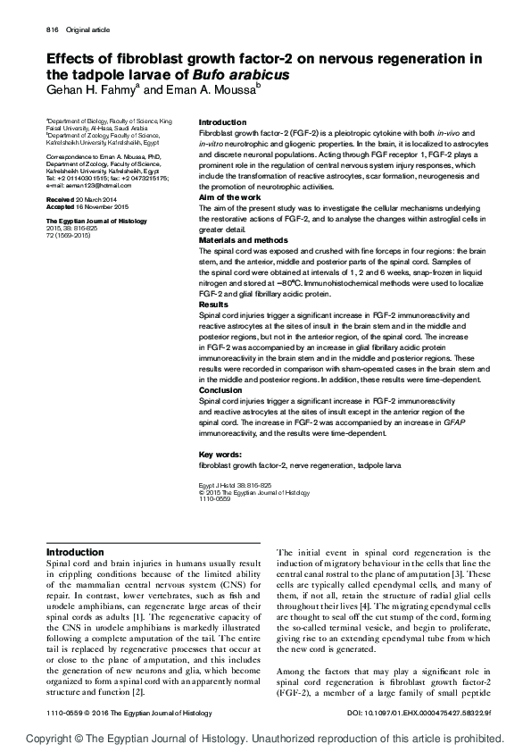(PDF) Effects of fibroblast growth factor-2 on nervous regeneration in ...