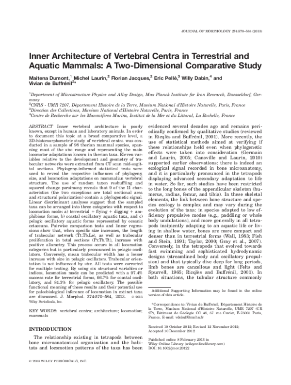 (PDF) Inner architecture of vertebral centra in terrestrial and aquatic ...