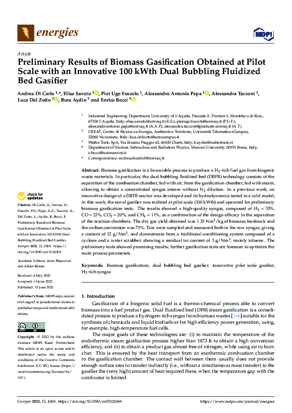 (PDF) Preliminary Results of Biomass Gasification Obtained at Pilot ... (PDF) Preliminary Results of Biomass Gasification Obtained at Pilot ...
